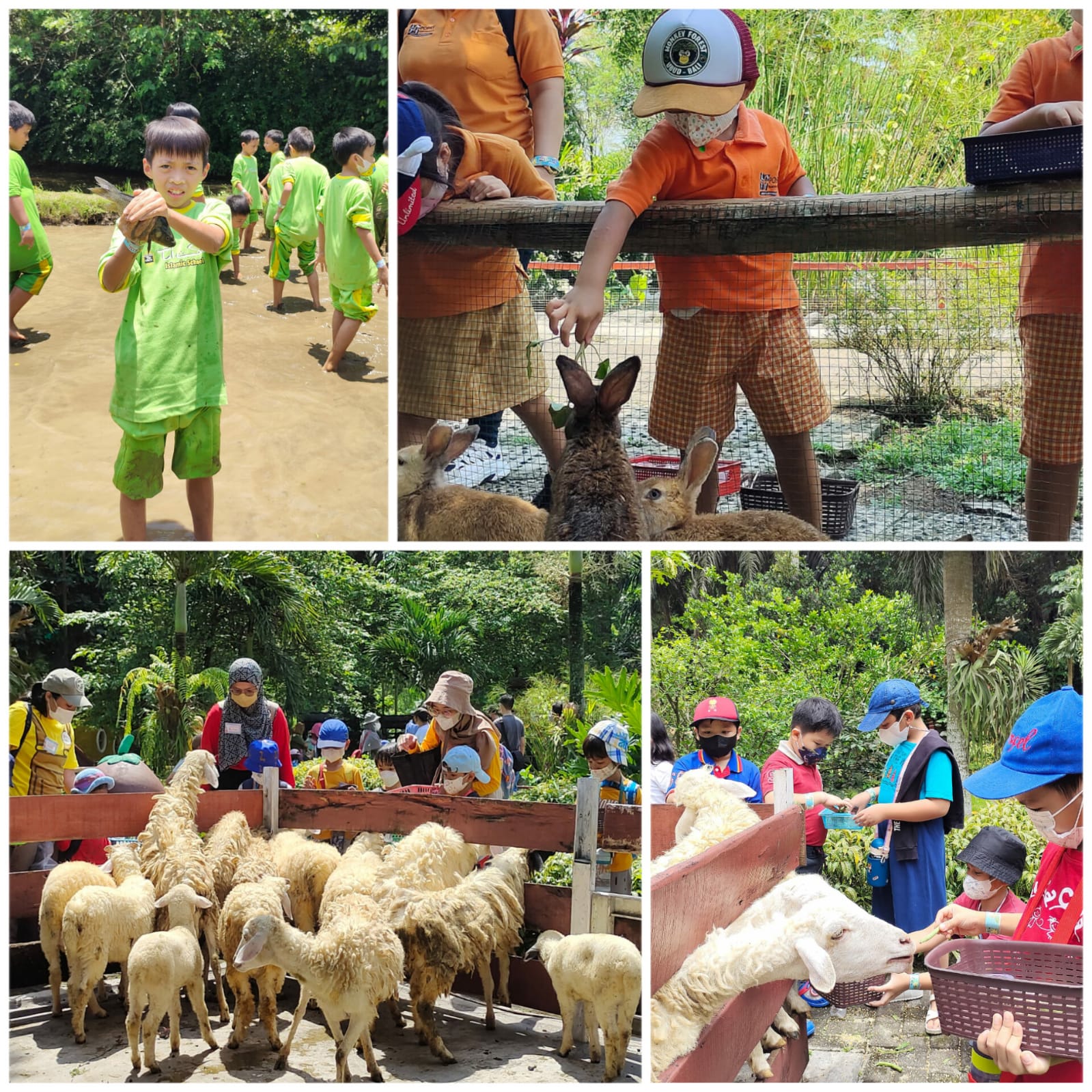 D’Farm & Pertanian Terpadu | Taman Buah Mekarsari