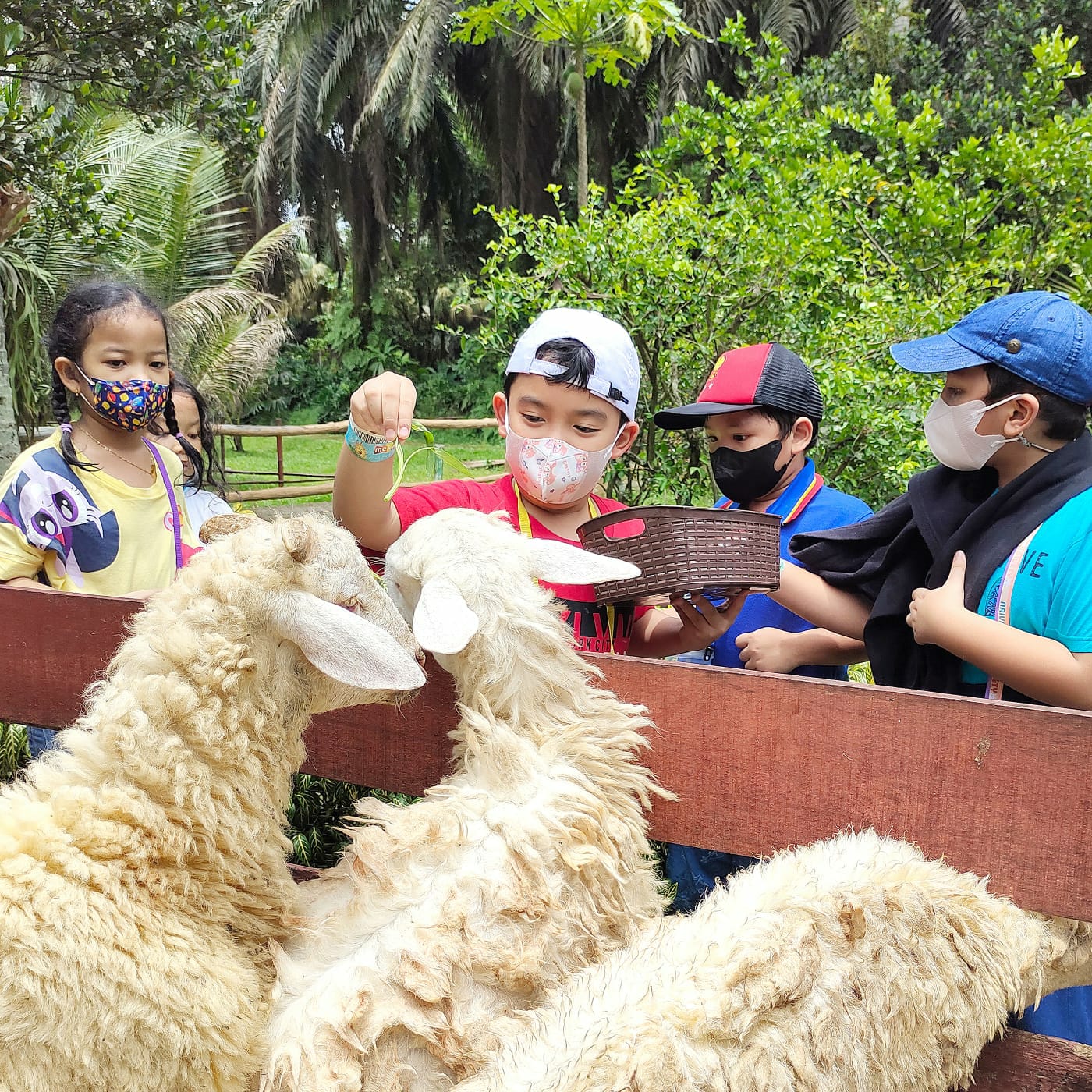 D’Farm & Pertanian Terpadu | Taman Buah Mekarsari